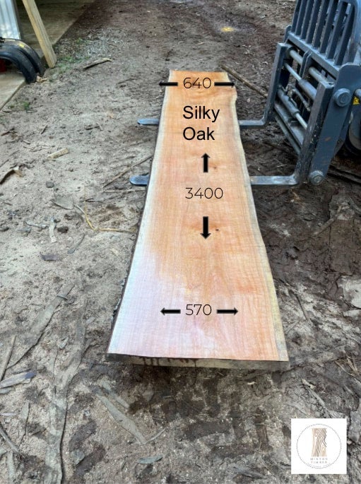 Large Silky Oak June 23 - slabs | minyon Timber