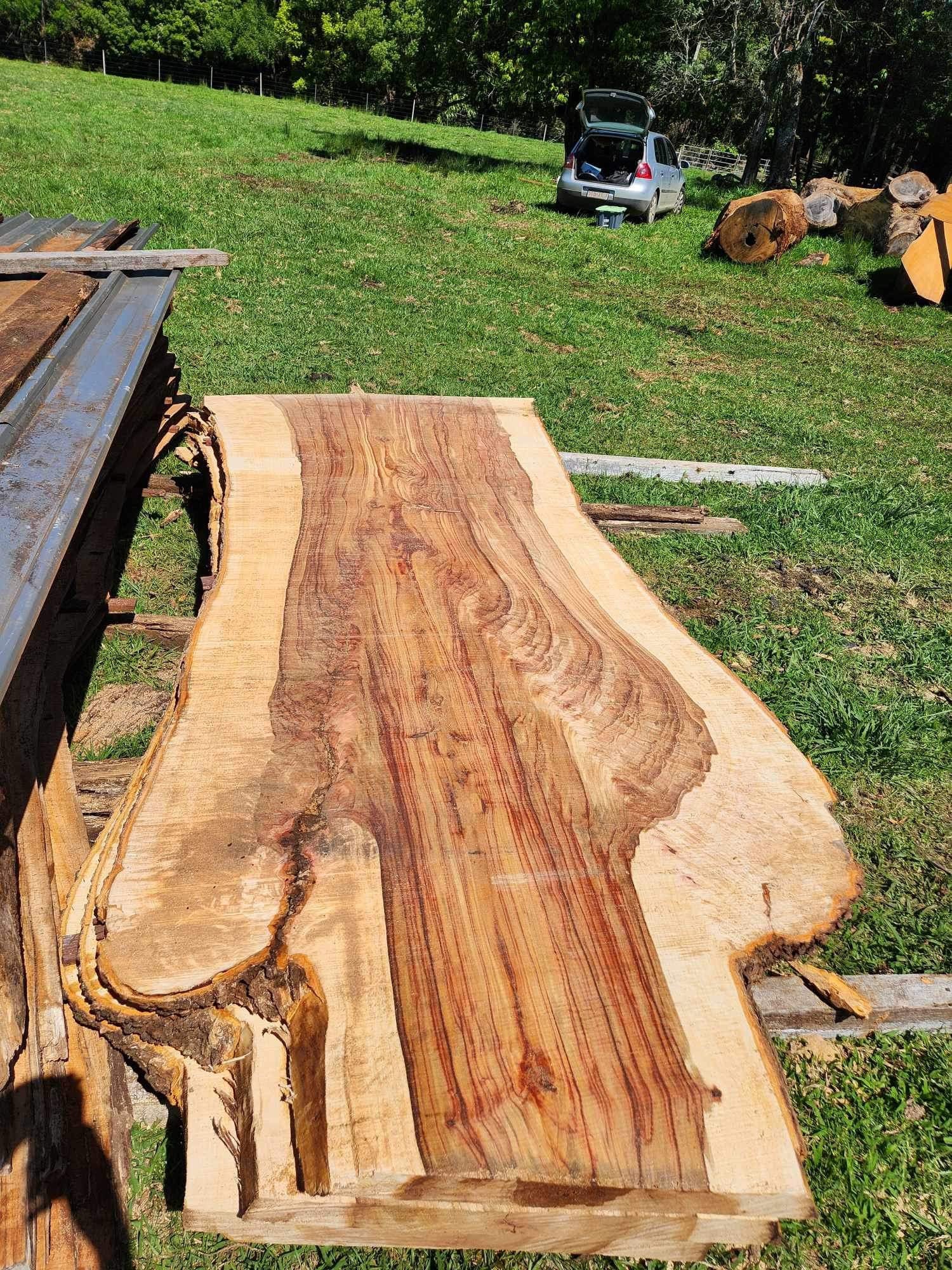 Large Camphor Laurel live edge slabs | minyon Timber