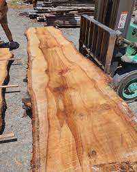 Hoop Pine June 23 - slabs | minyon Timber
