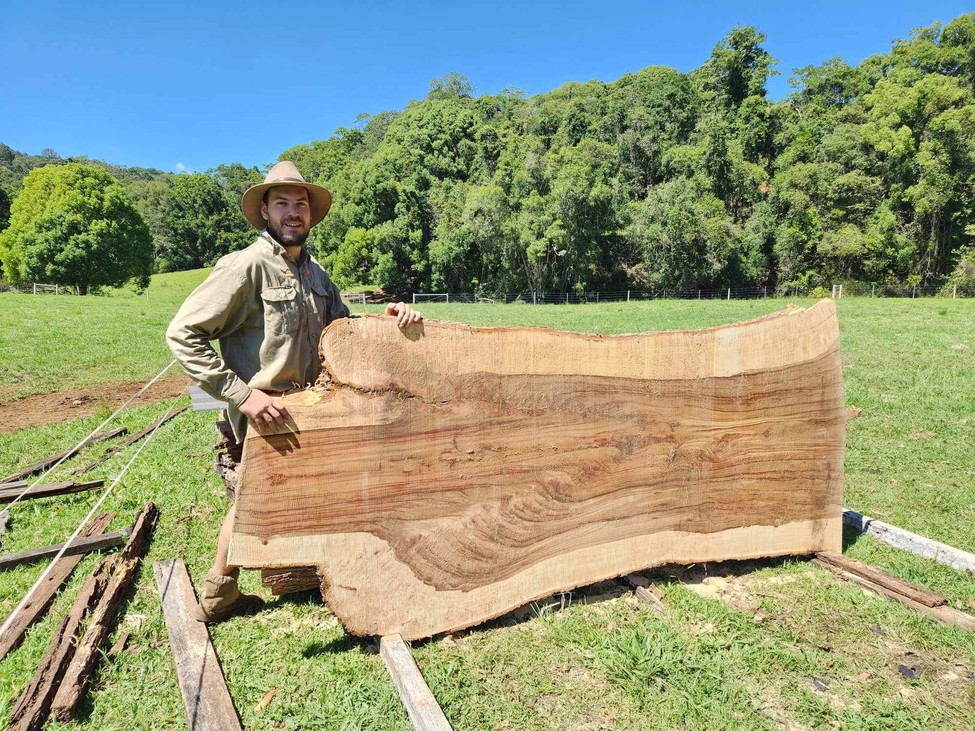Large Camphor Laurel live edge slabs | minyon Timber