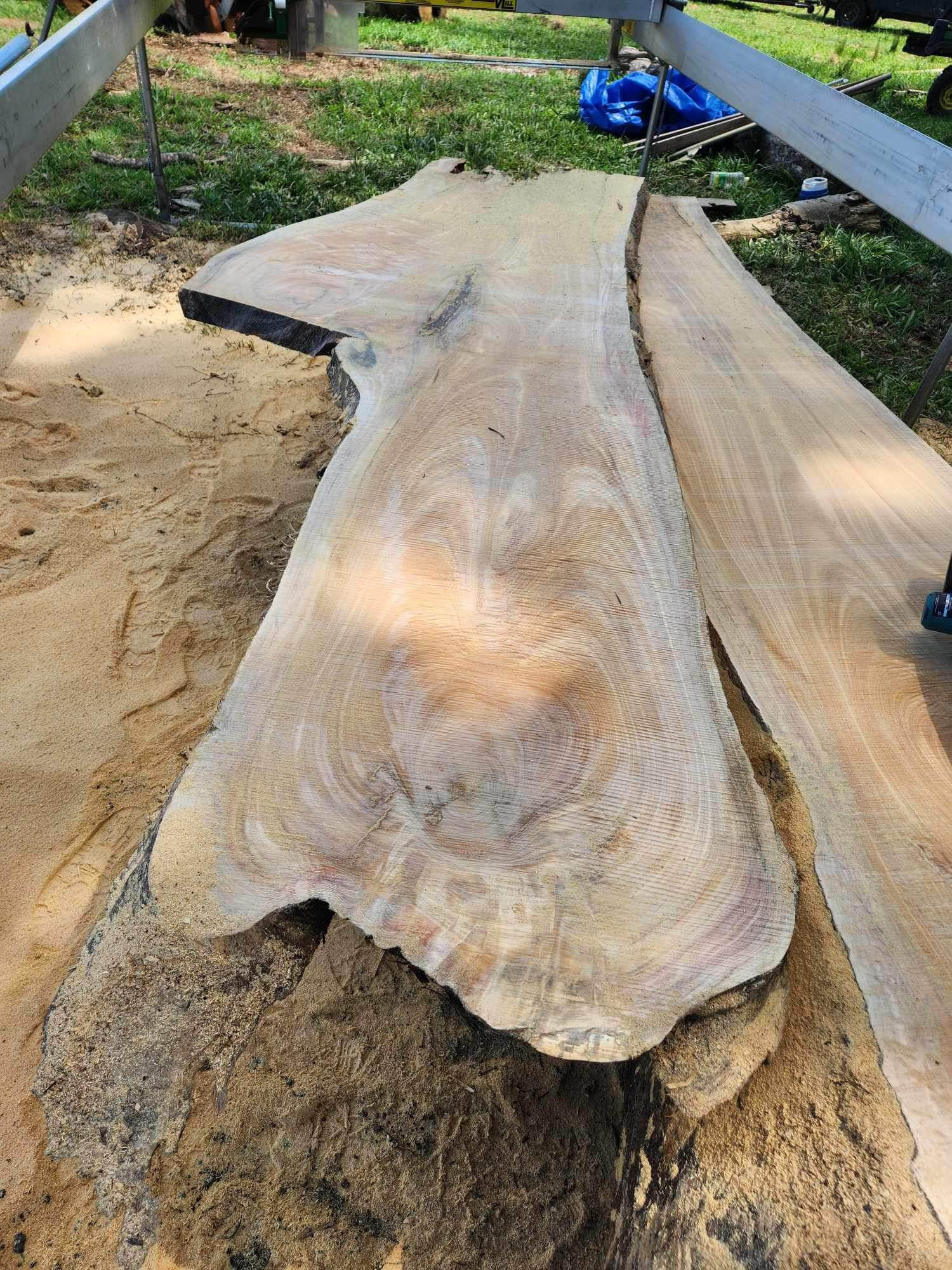 large cudgeri live edge 50mm | minyon Timber